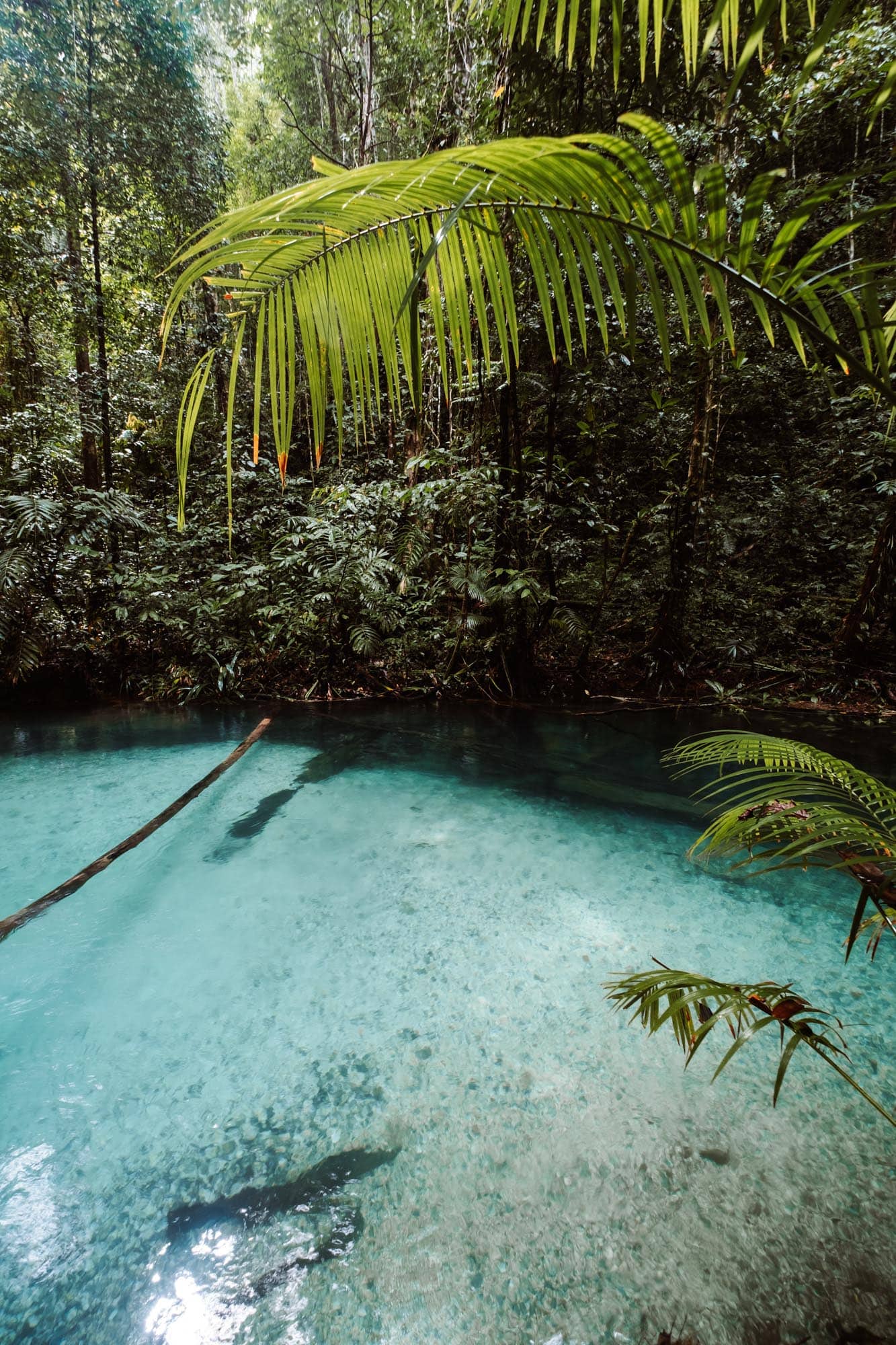 Tips for Visiting Kali Biru (Blue River) in Raja Ampat