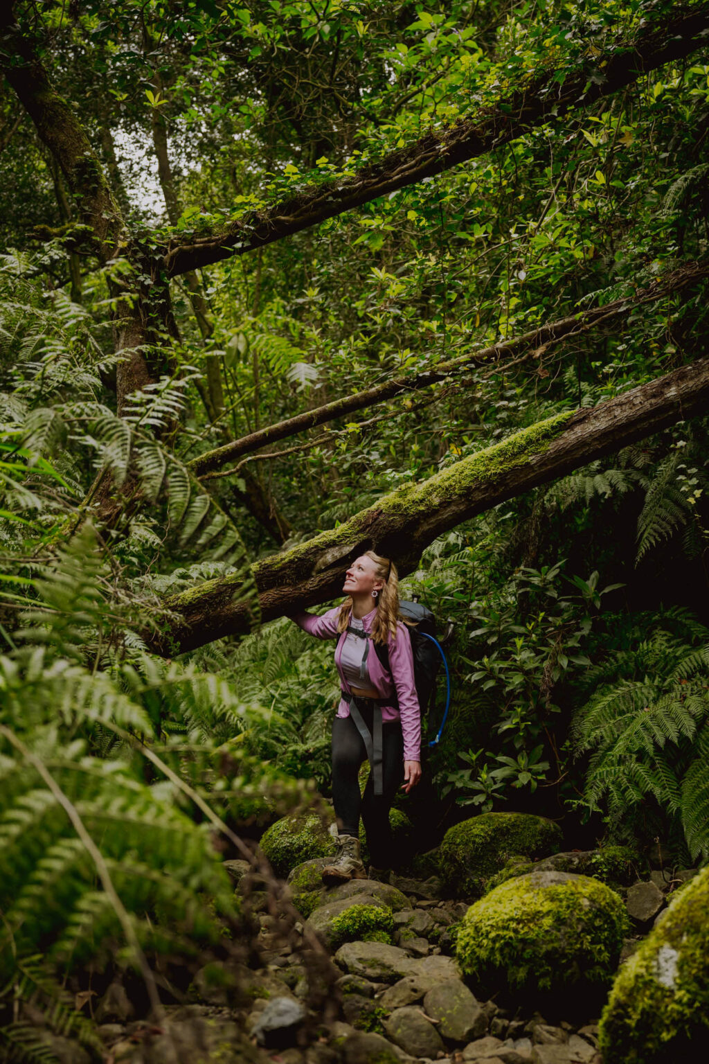 Madeira Trail: A 5-Day Hike in a Tropical Paradise
